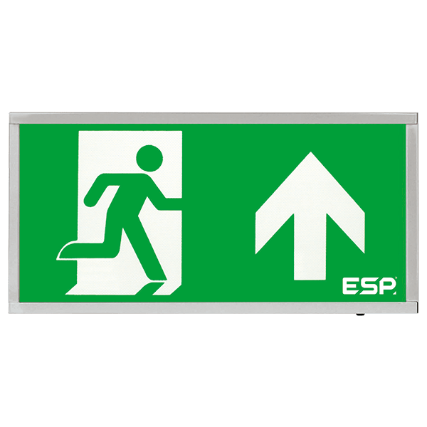 ESP D120UCH Duceri Emergency Surface Exit Box 3W LED IP20 Up Legend Li ...